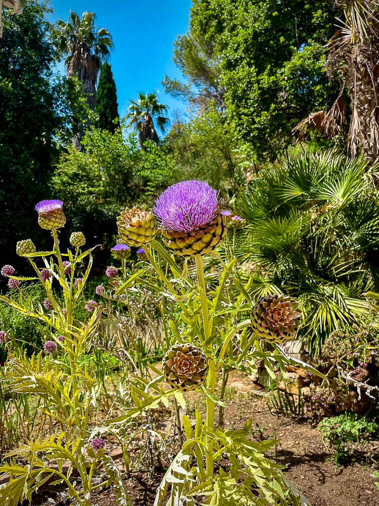 Top 10 things to do in Barcelona