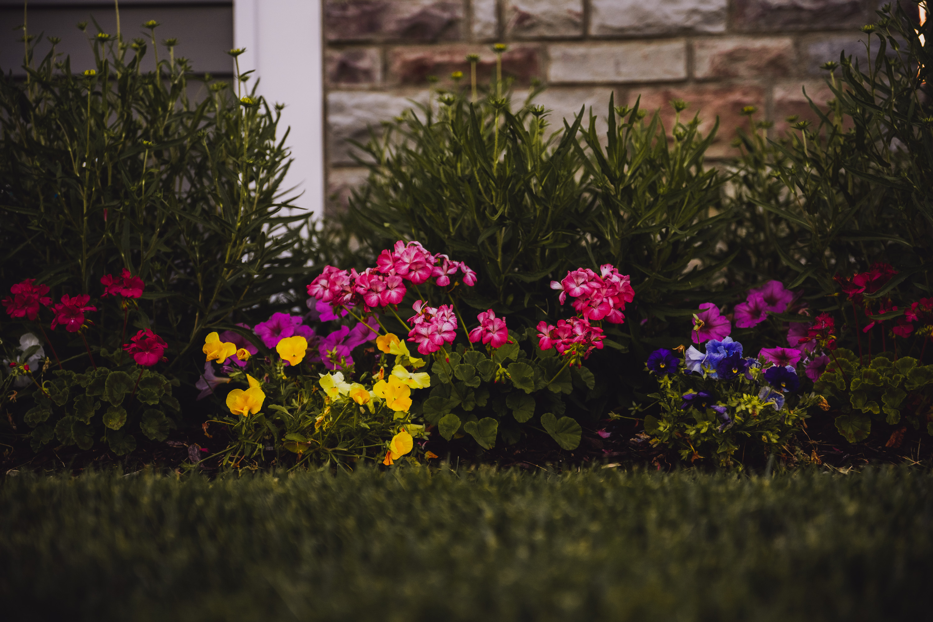 Green Light Lawn Care – Transform Your Property