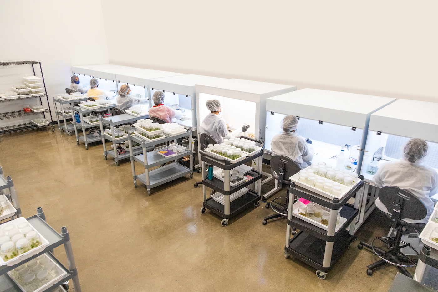 Segra International Announces Development and Validation of In-House ...