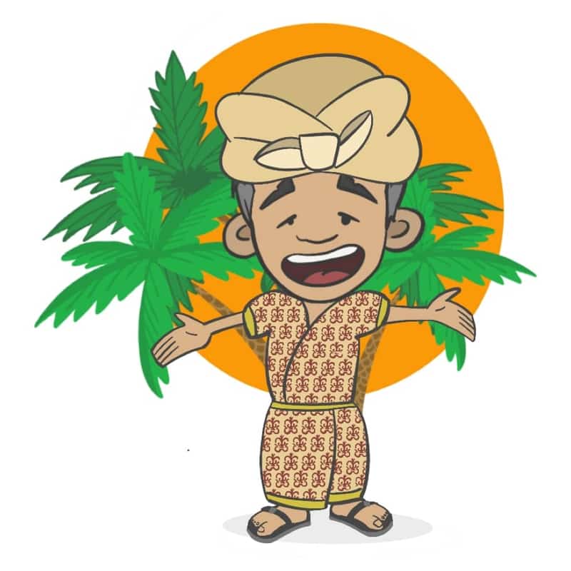 BEST BALI DRIVER & TOUR GUIDE | balidriver.io