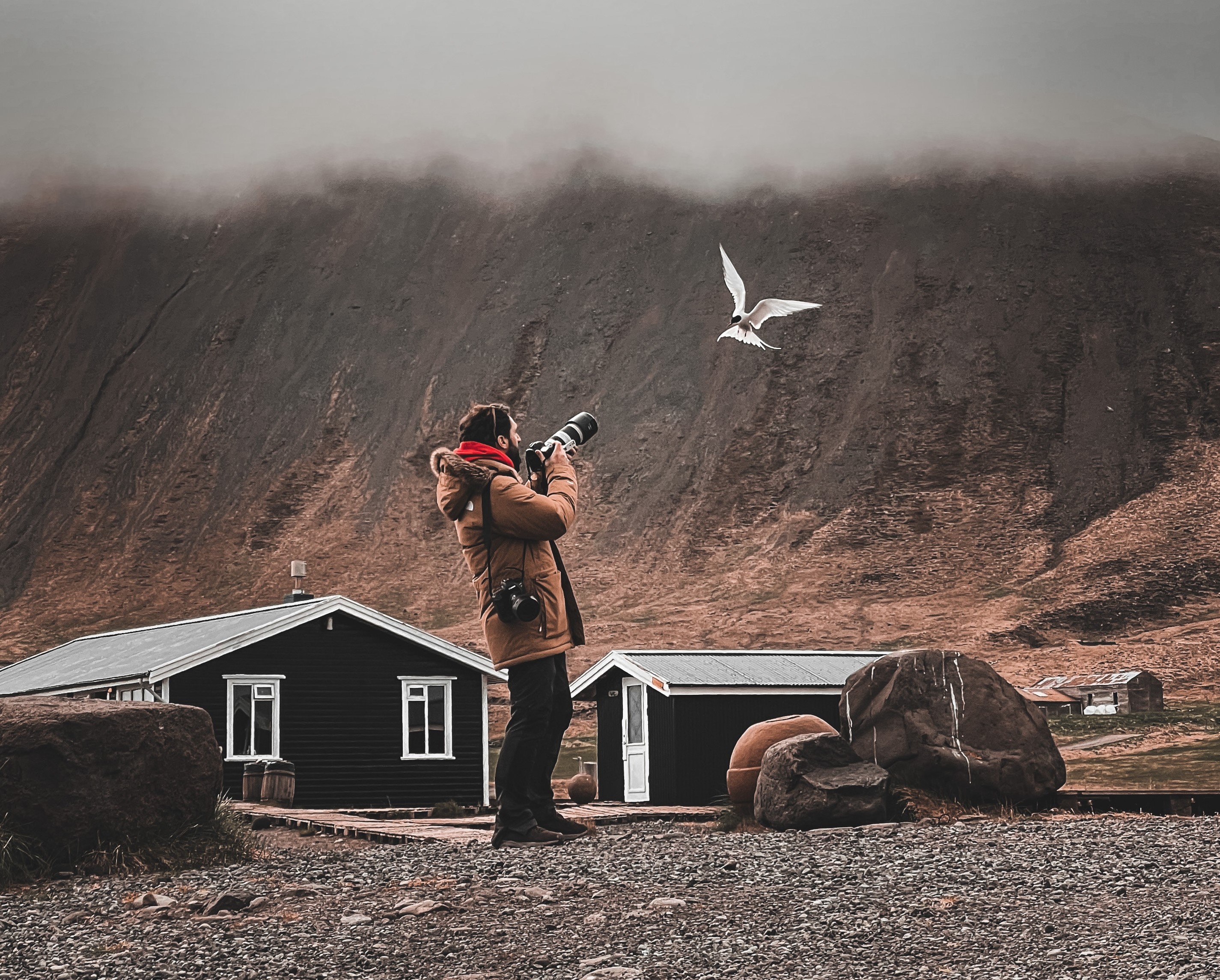 Top 10 Birding Must-Haves for Every Enthusiast