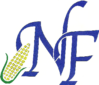 Business - Webflow HTML website template