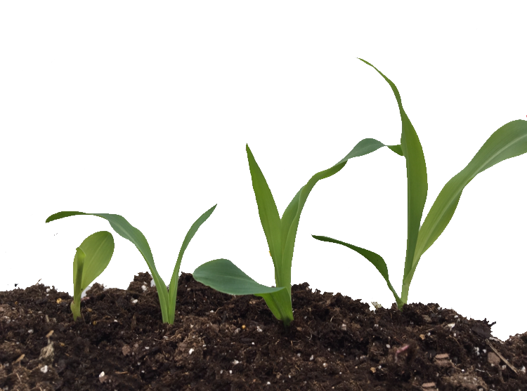 Business - Webflow HTML website template