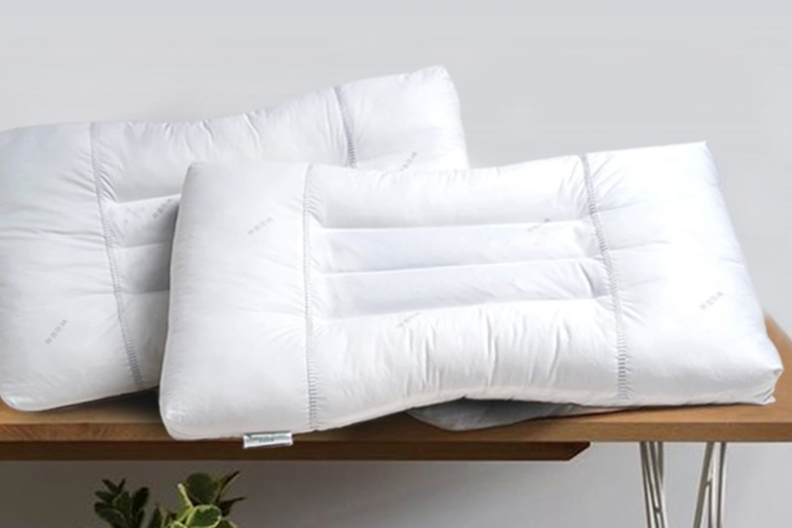 PacFung | Product