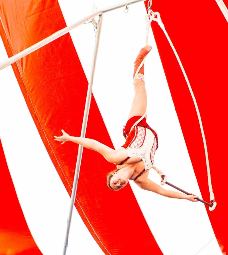 Circus Parties for adults and children.