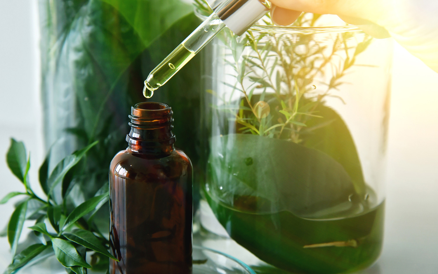 Novel Ingredients at Cavallo Ventures