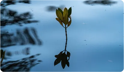 Reduce Reuse Grow Test