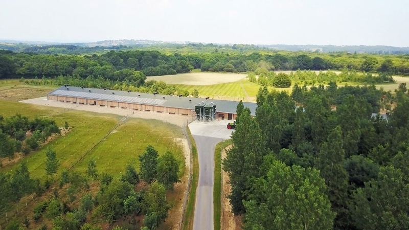 Wealden Woods Free Range Egg Farm - Who are Fridays?