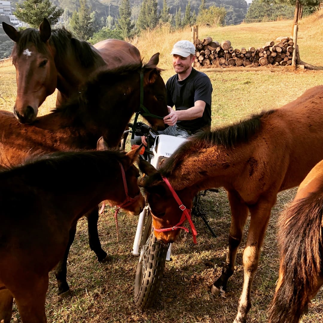 Weltstar Studs | Breeding top level stallions in Hillcrest KZN