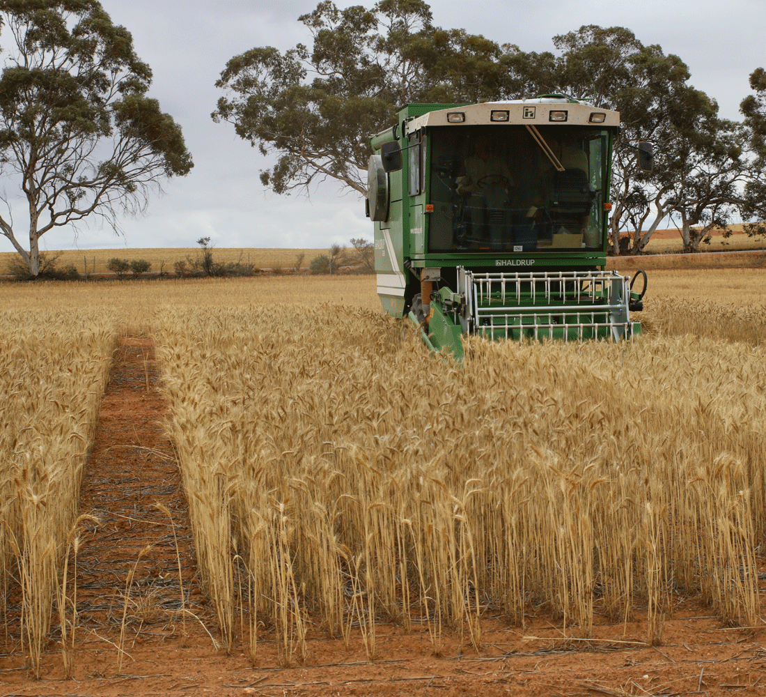 A leading fertilizer supplier in WA | Summit Fertilizers