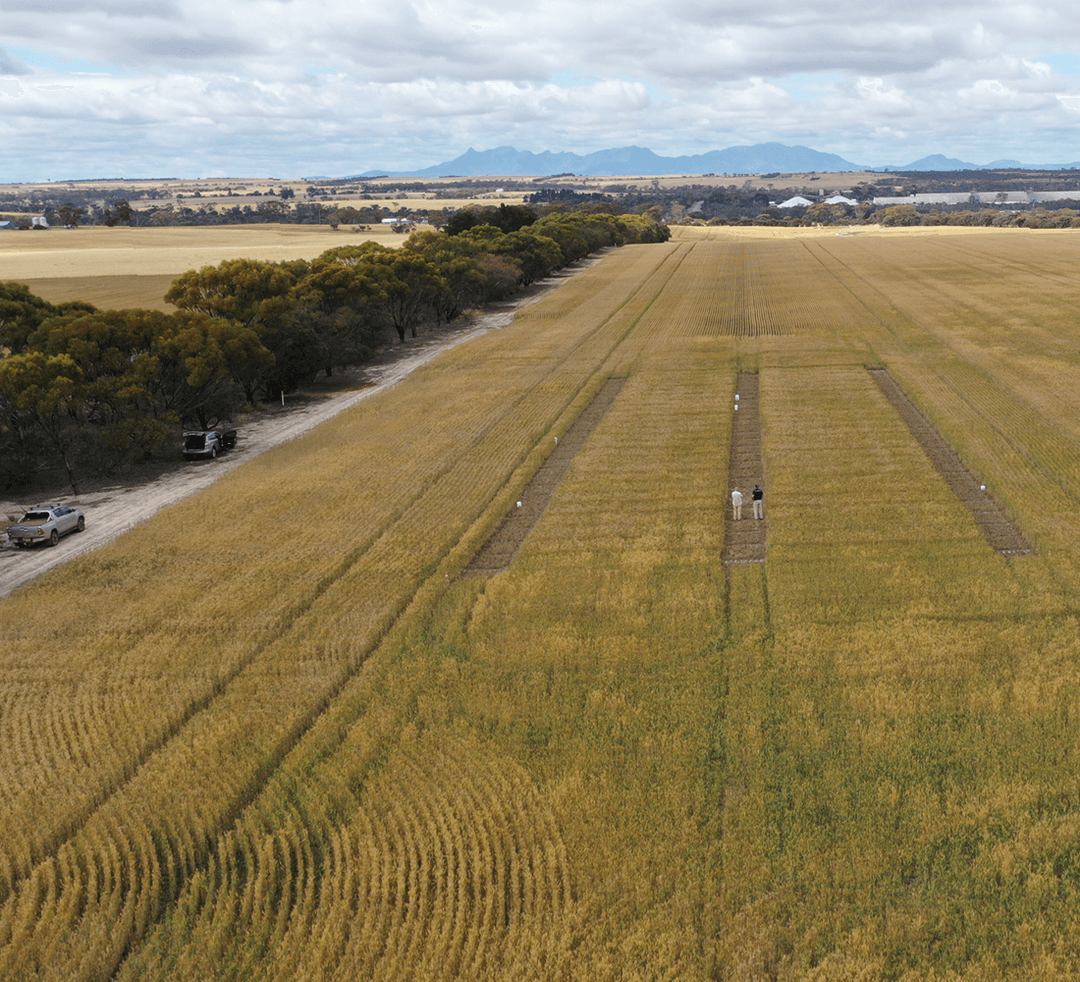 A leading fertilizer supplier in WA | Summit Fertilizers