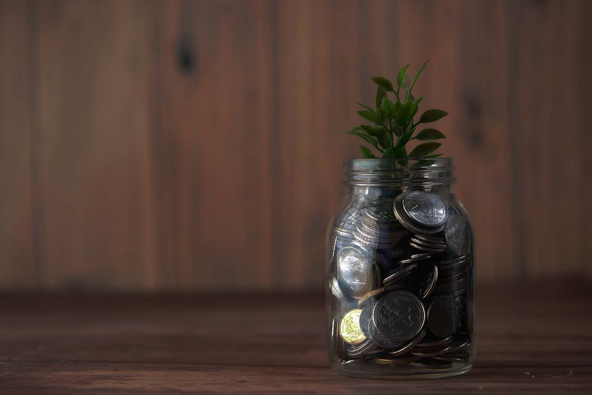 Darius Wise - Red Rocks Credit Union - Stories, Lessons & Trends