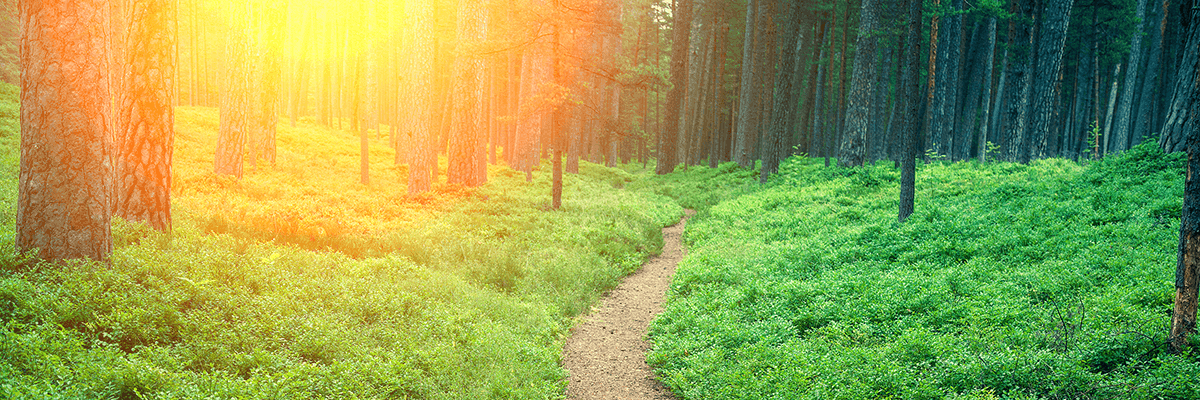 Partner With Nature - Home