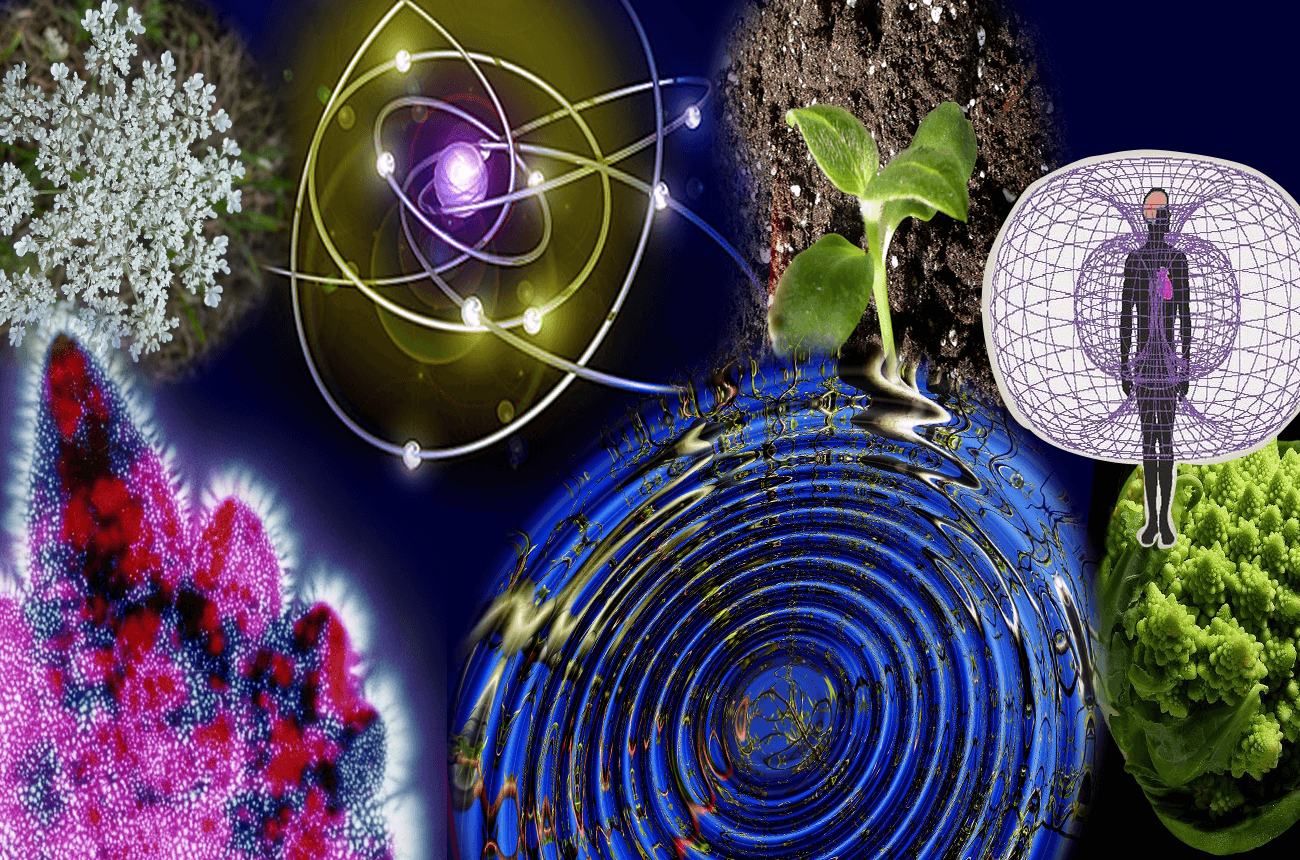 Partner With Nature - What are the Fundamental Concepts and Sciences?