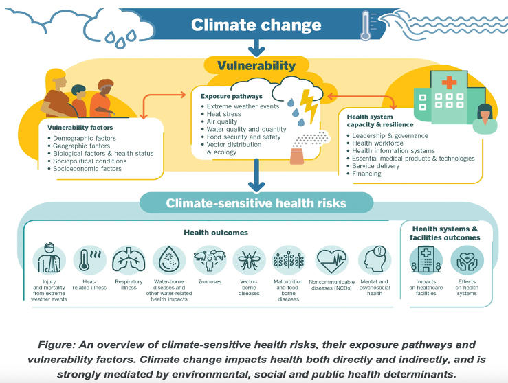 Hotter Summers may Fuel Increase in Skin Cancers, Doctors Warn | Medmentor