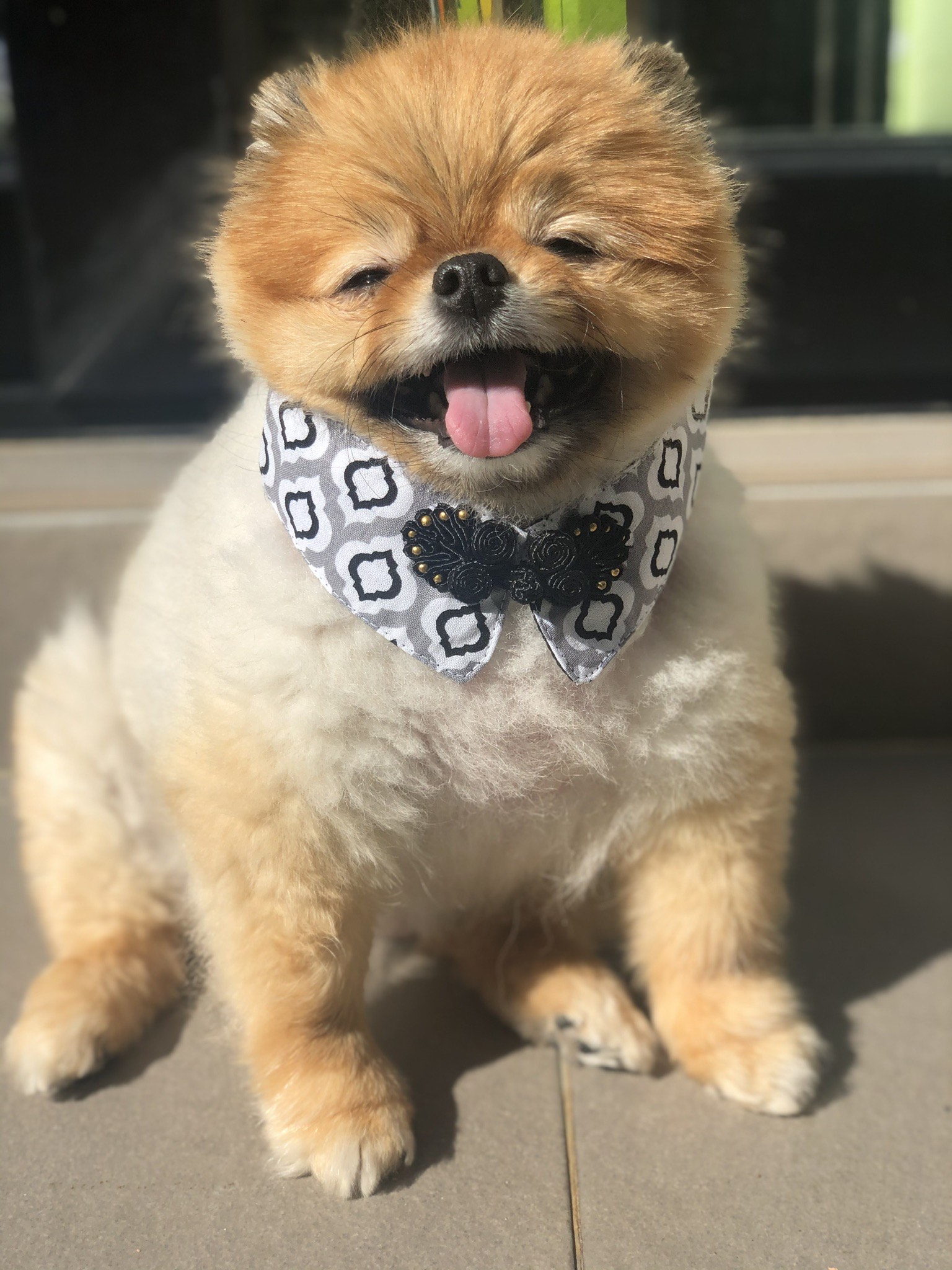 Happy Fluff