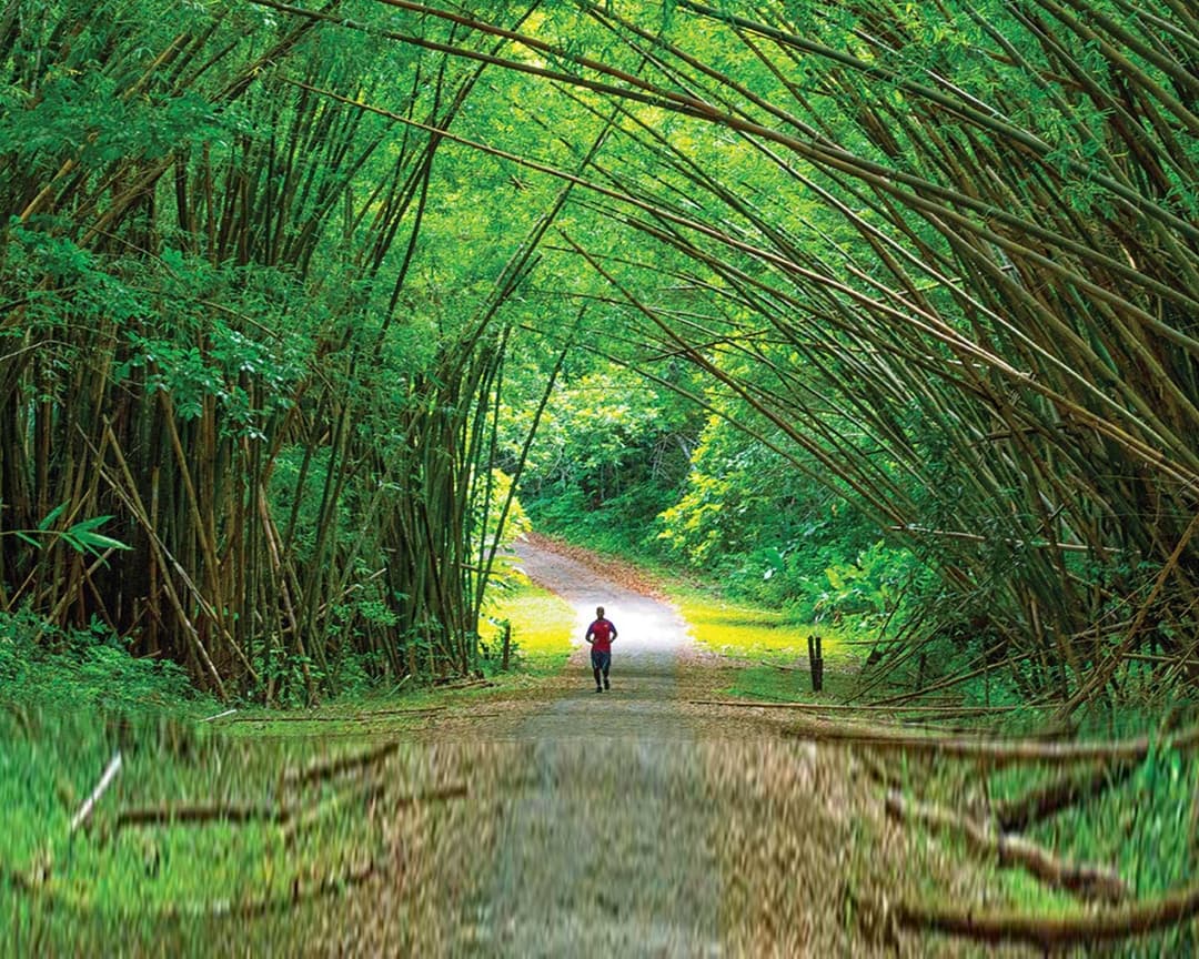 Explore Chaguaramas