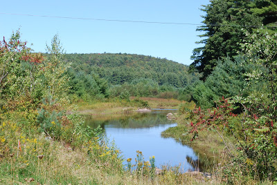 Lake Ridge - New Lots | Catskills Real Estate | Catskill Farms