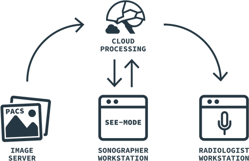 See-Mode: AI-augmented ultrasound reporting.