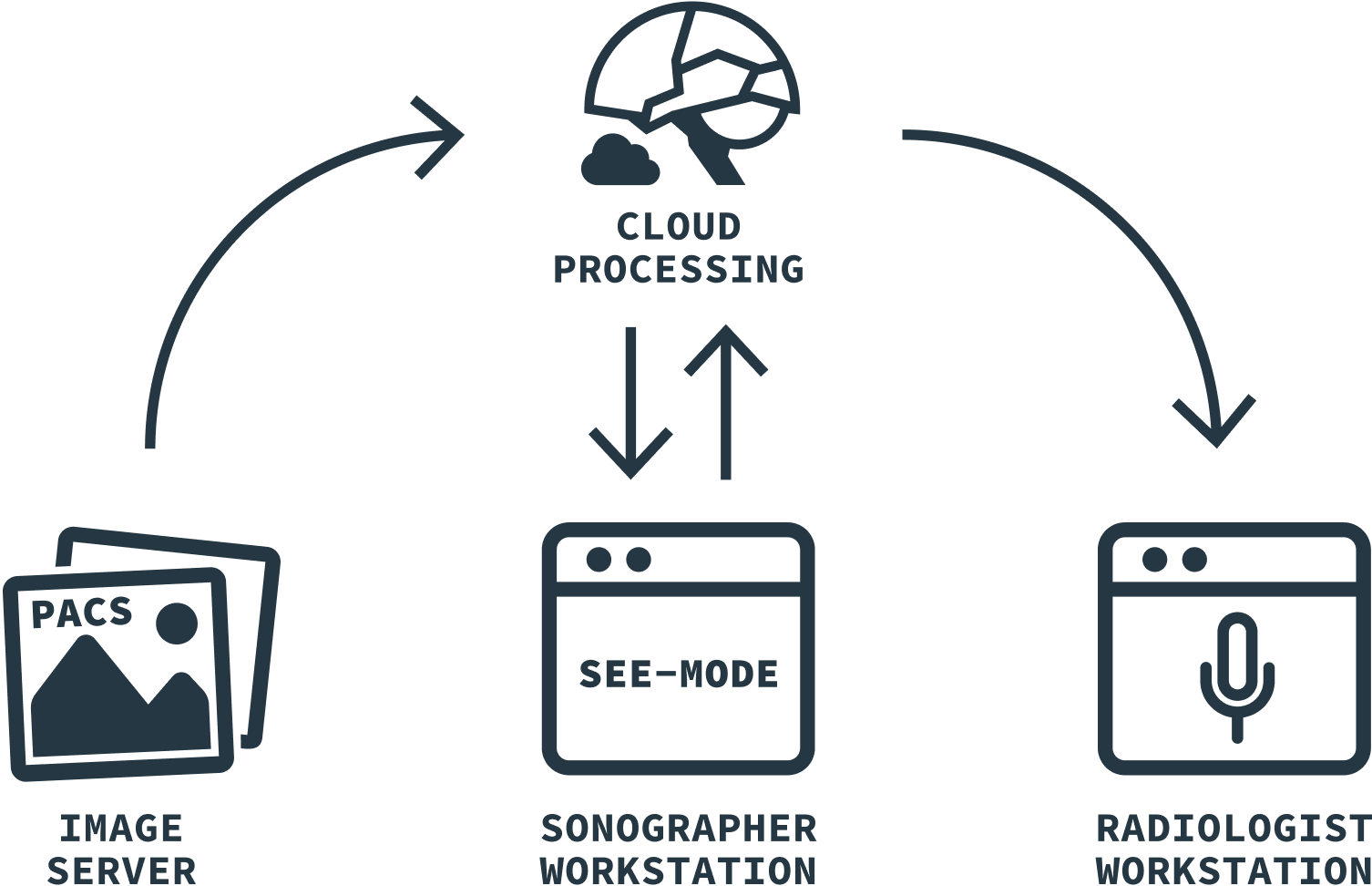 See-Mode: AI-augmented ultrasound reporting.
