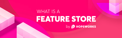 Hopsworks - What is a Feature Store?
