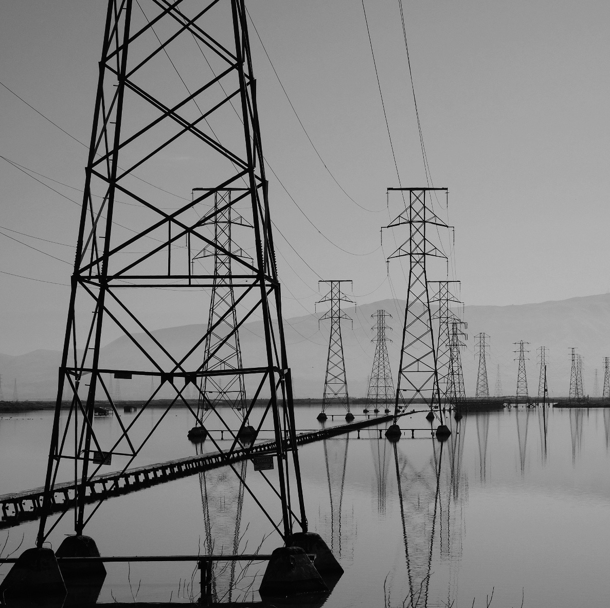 Home Page - Alex Goldhammer