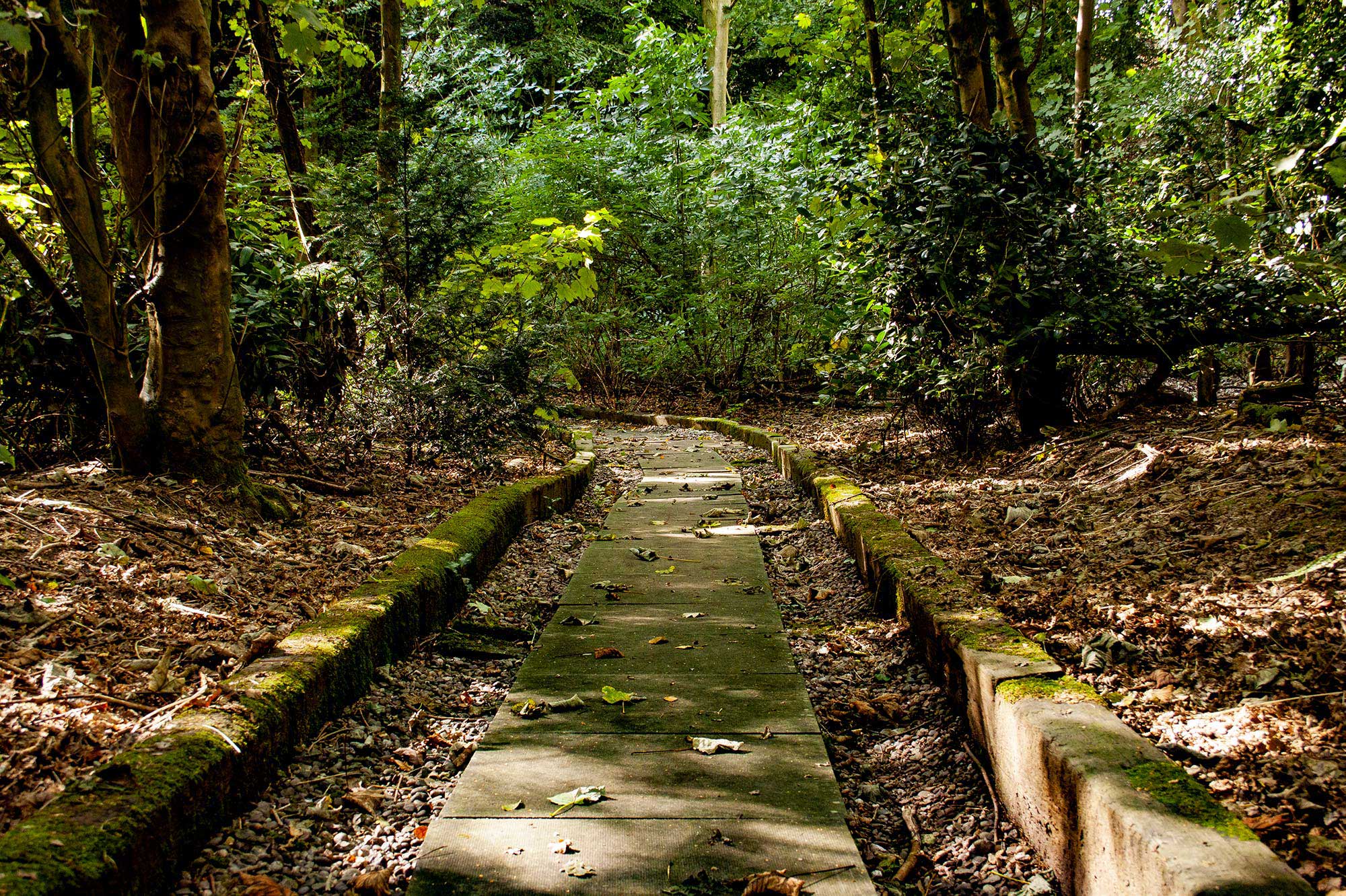 Betley Court Gardens | Visit our 18th century gardens in Staffordshire