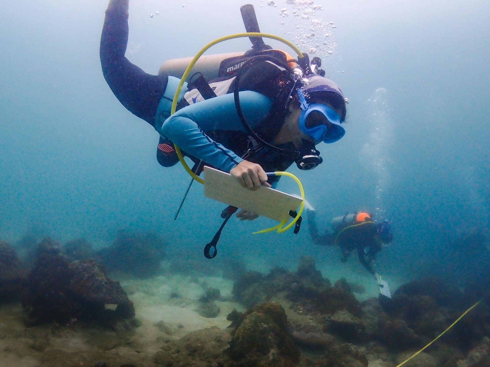 Marine Ecology Courses