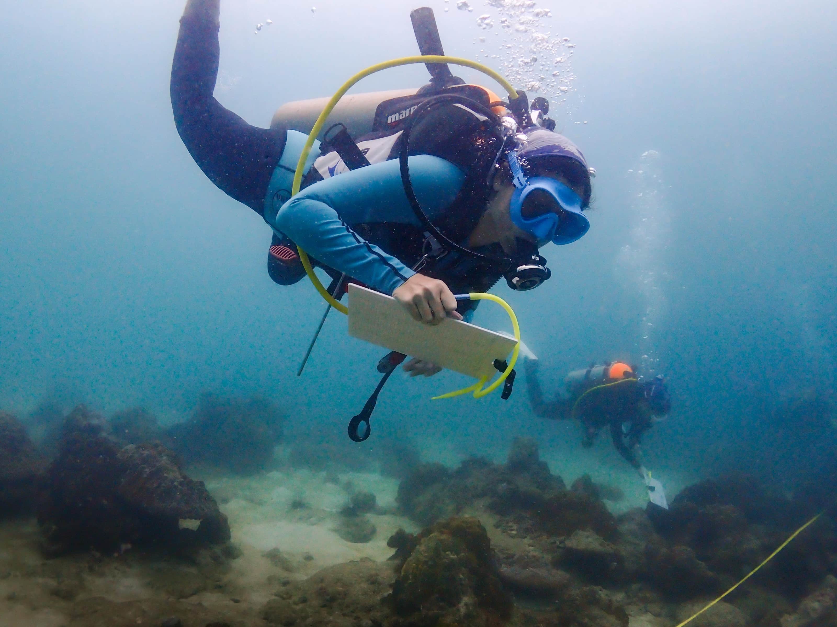 Marine Ecology Courses