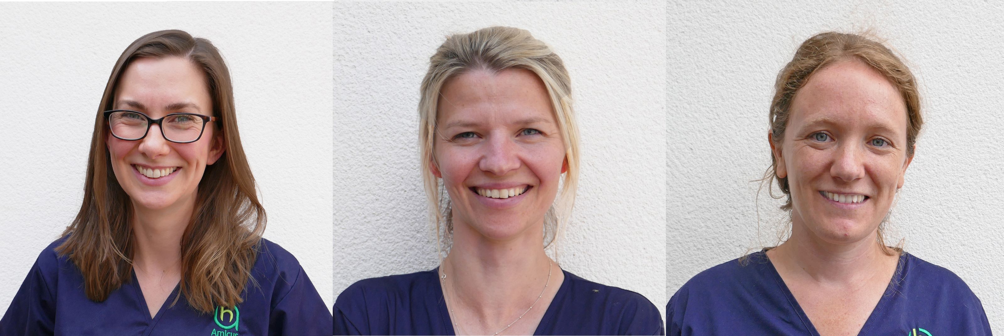 News | Amicus Health