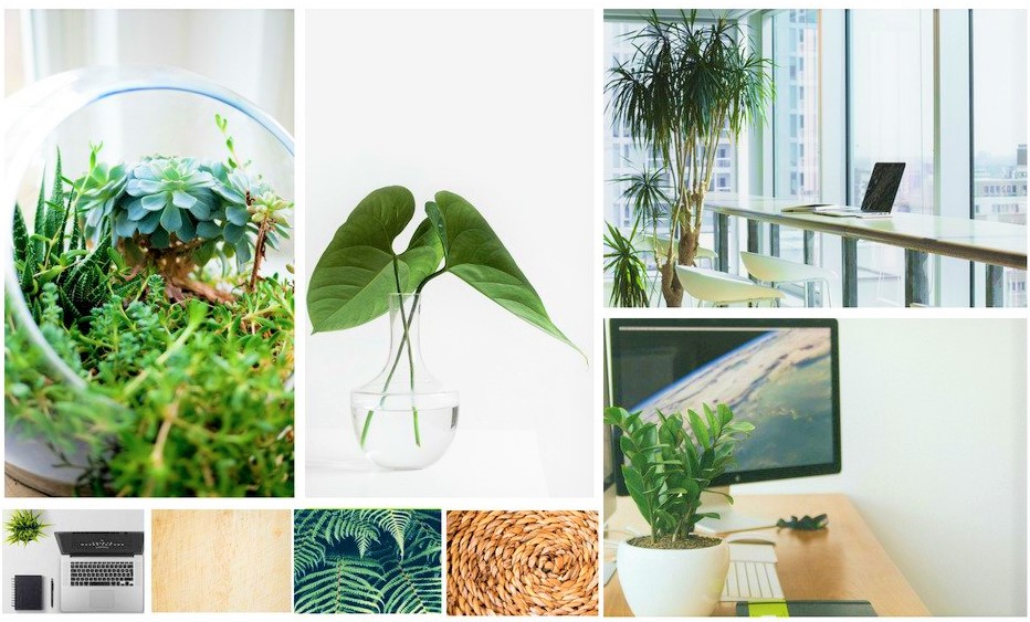 5 Ways to incorporate nature into your Designs