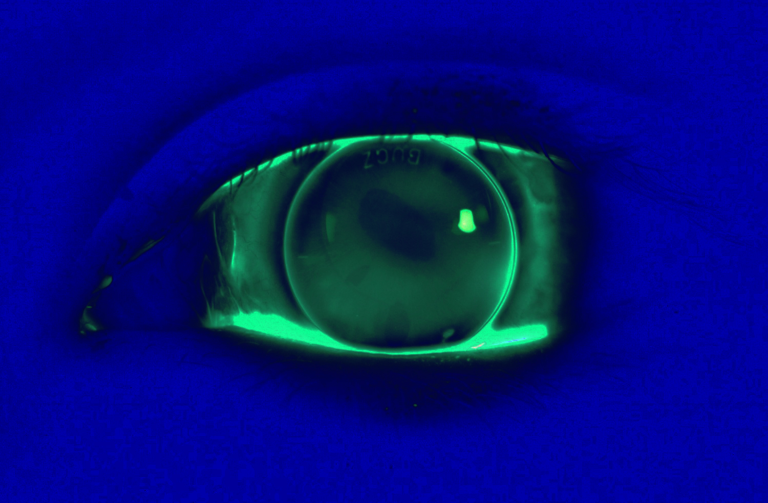 Rodolfo Moura - Contactologia Avançada