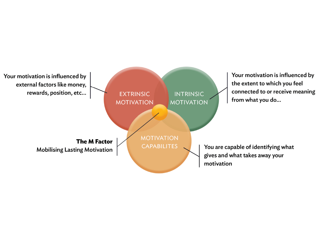 Real® Motivation | PACE OD Consulting