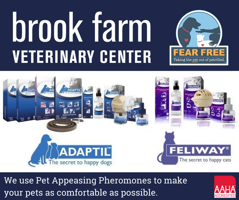 Veterinary Blog - Visit Our Patterson Veterinary Clinic