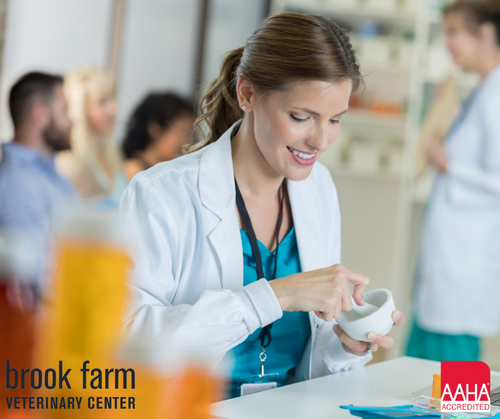 Veterinary Blog - Visit Our Patterson Veterinary Clinic