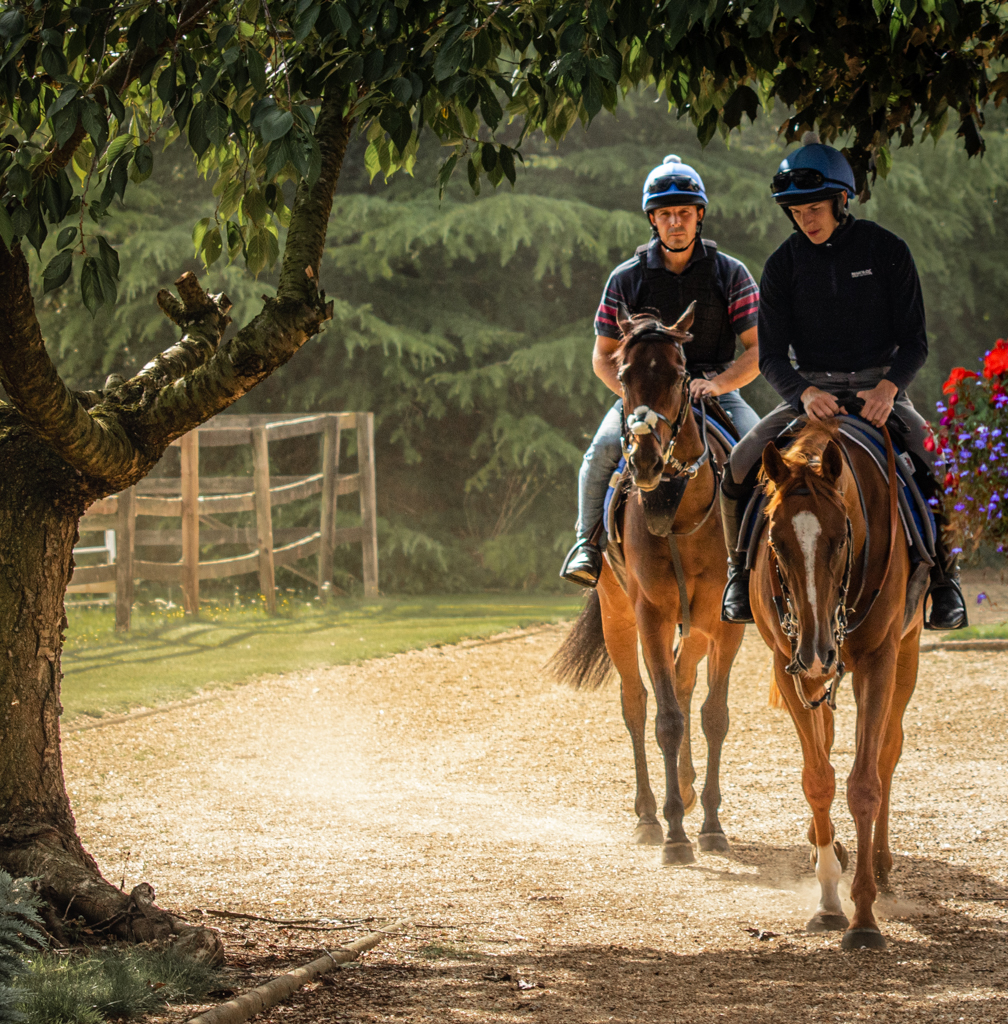 TJ Kent Horse Racing - Gallery