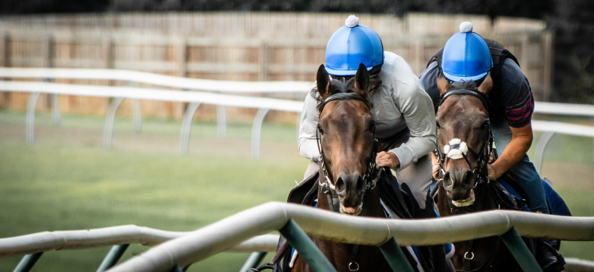 TJ Kent Horse Racing - Gallery