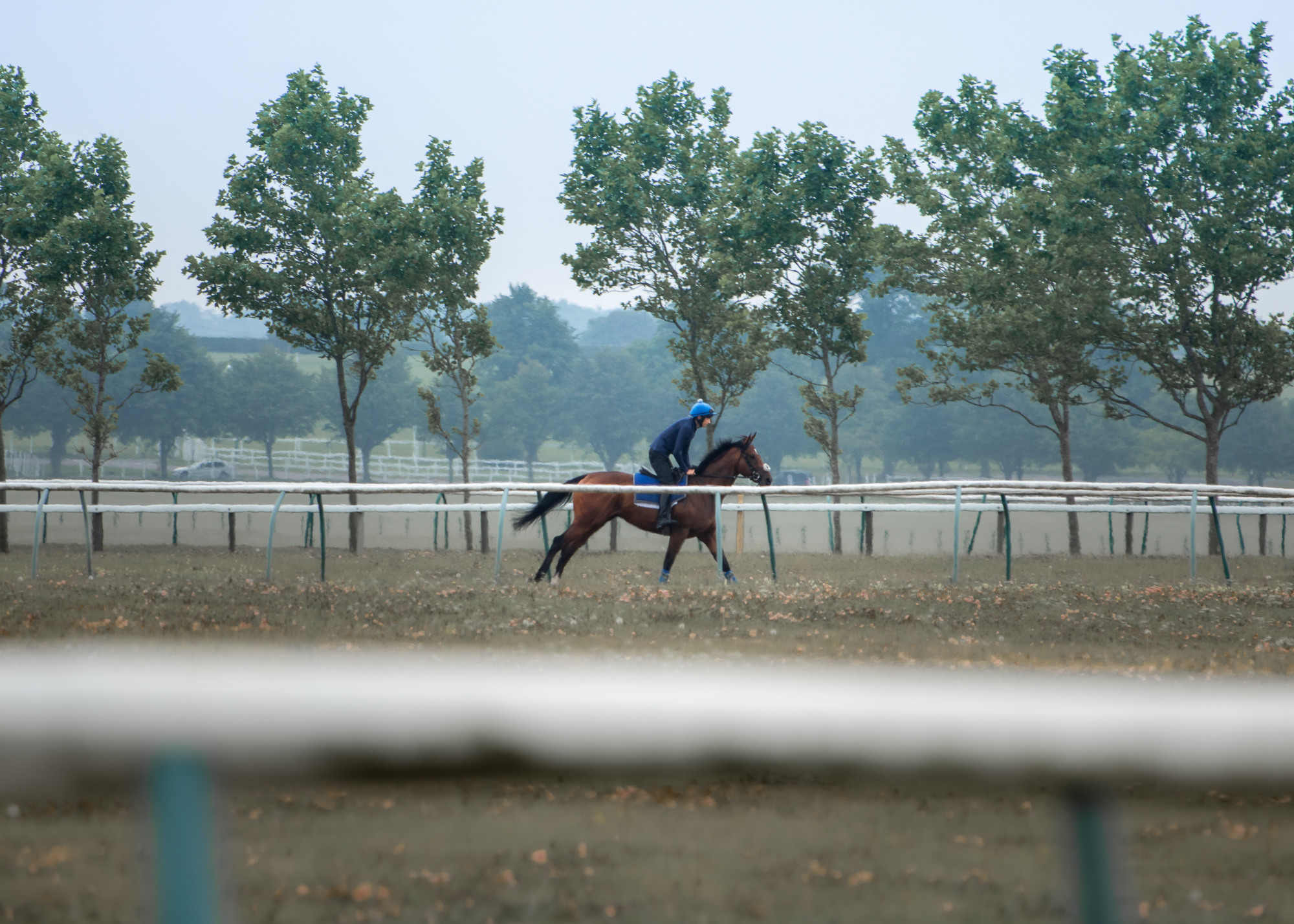 TJ Kent Horse Racing - Gallery