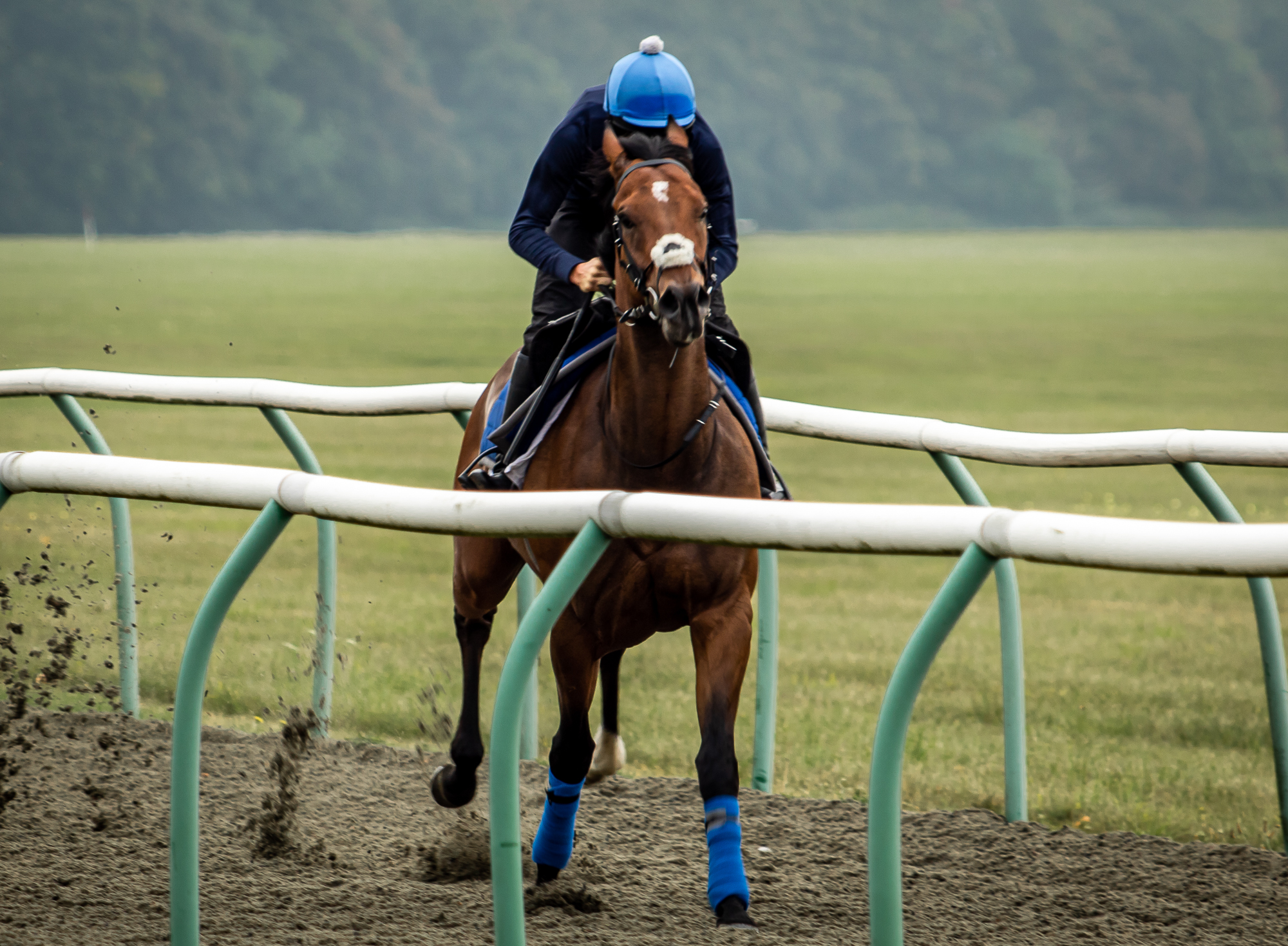 TJ Kent Horse Racing - Gallery