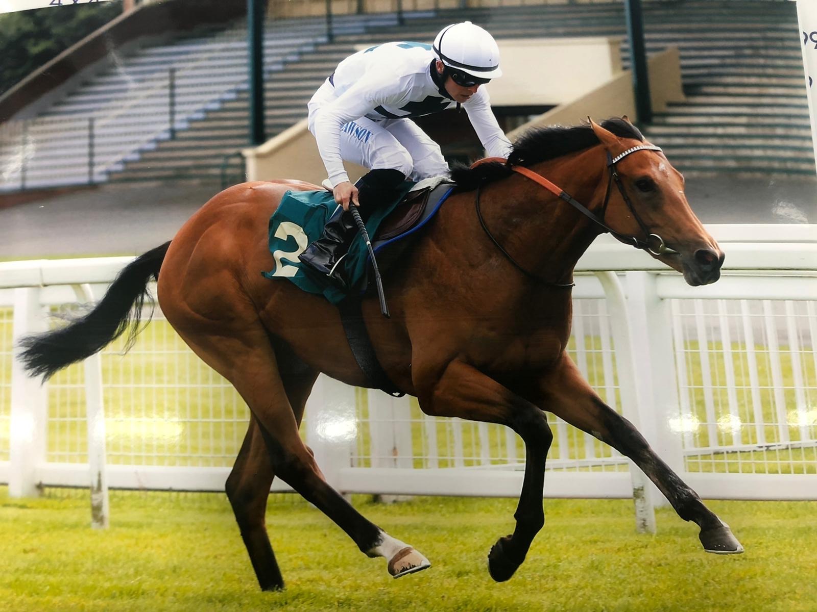 TJ Kent Horse Racing - Gallery