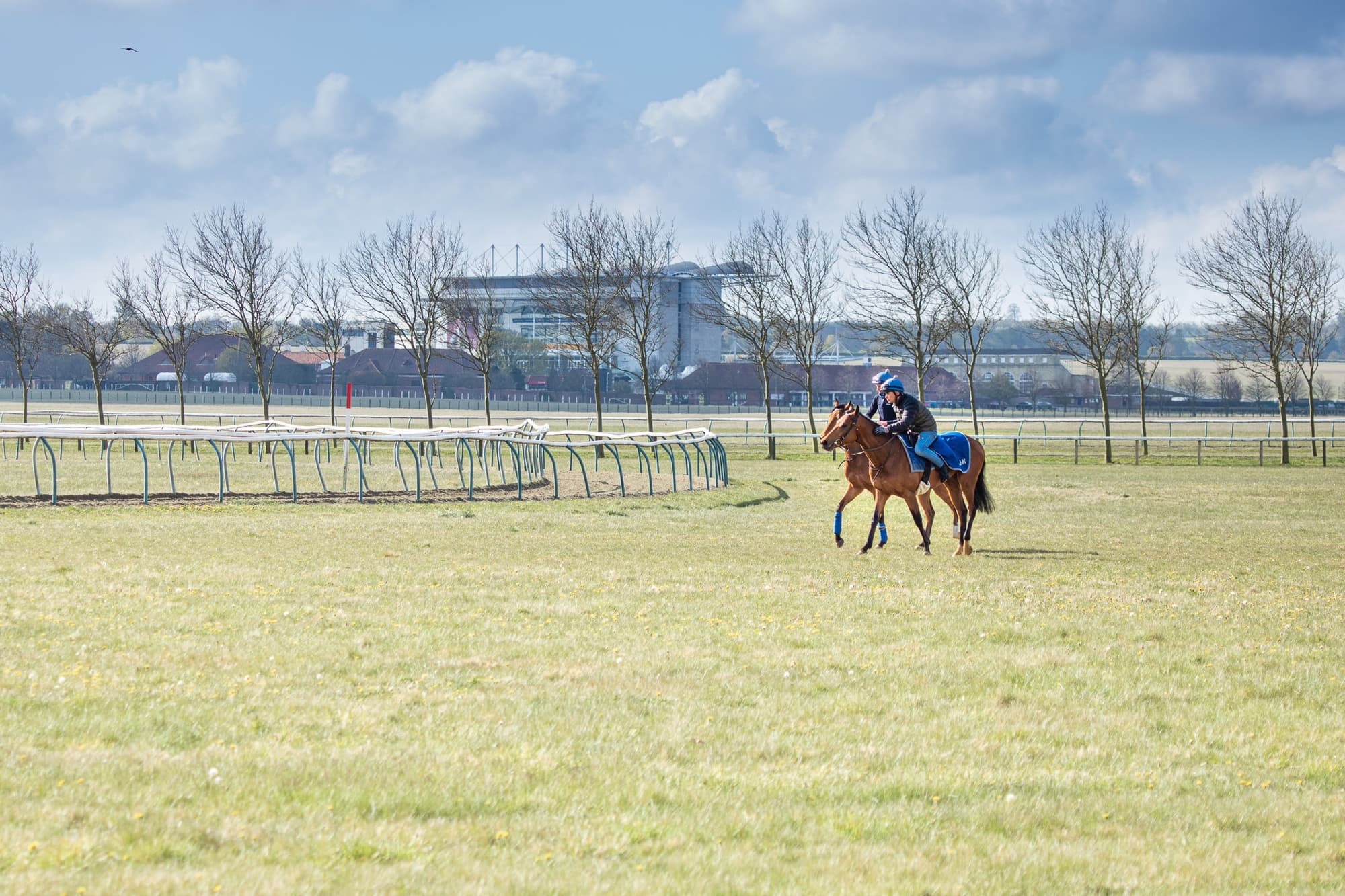 TJ Kent Horse Racing - Gallery