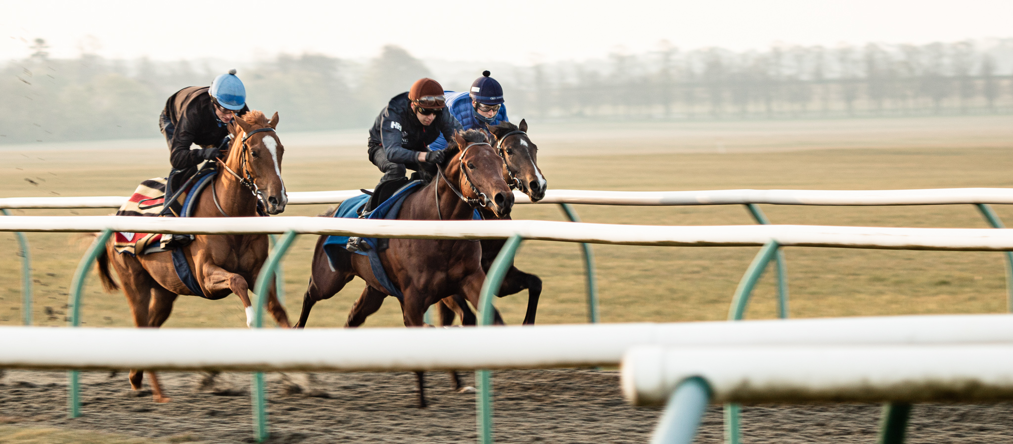 TJ Kent Horse Racing - Gallery