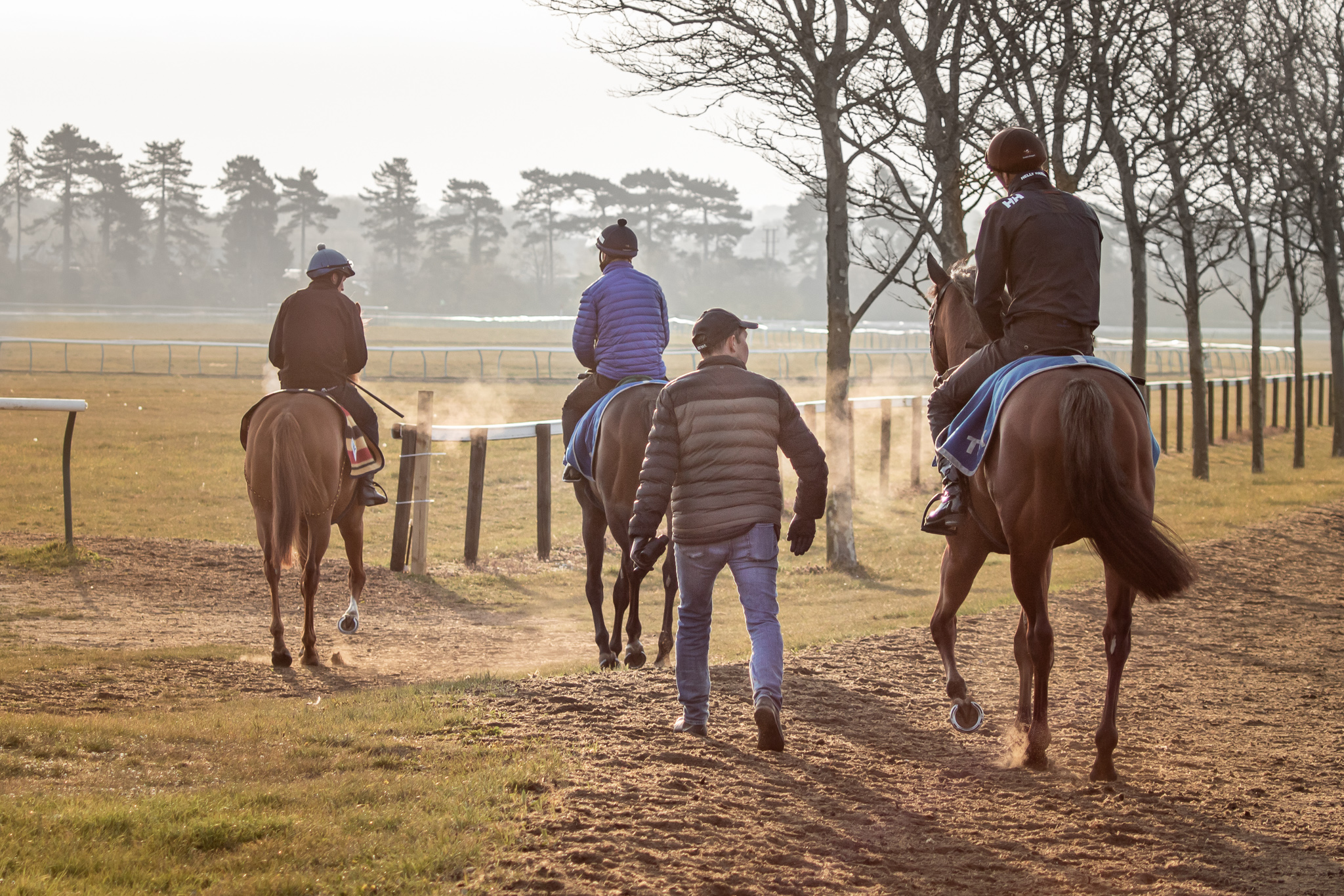 TJ Kent Horse Racing - Gallery