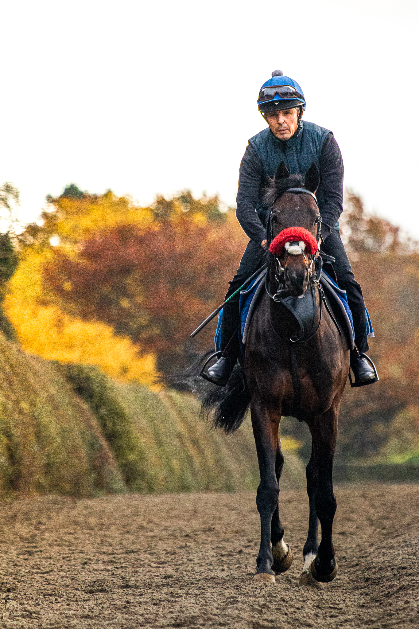 TJ Kent Horse Racing - Gallery