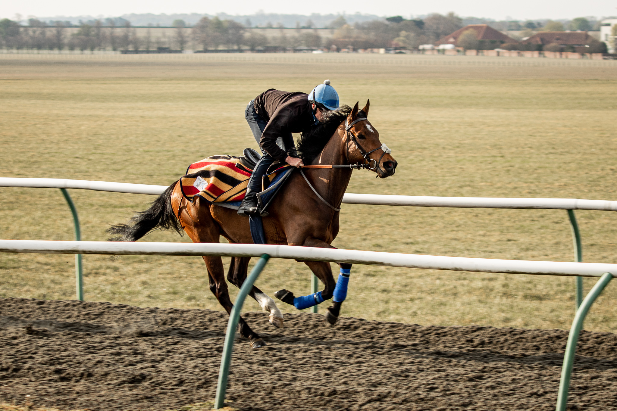 TJ Kent Horse Racing - Gallery