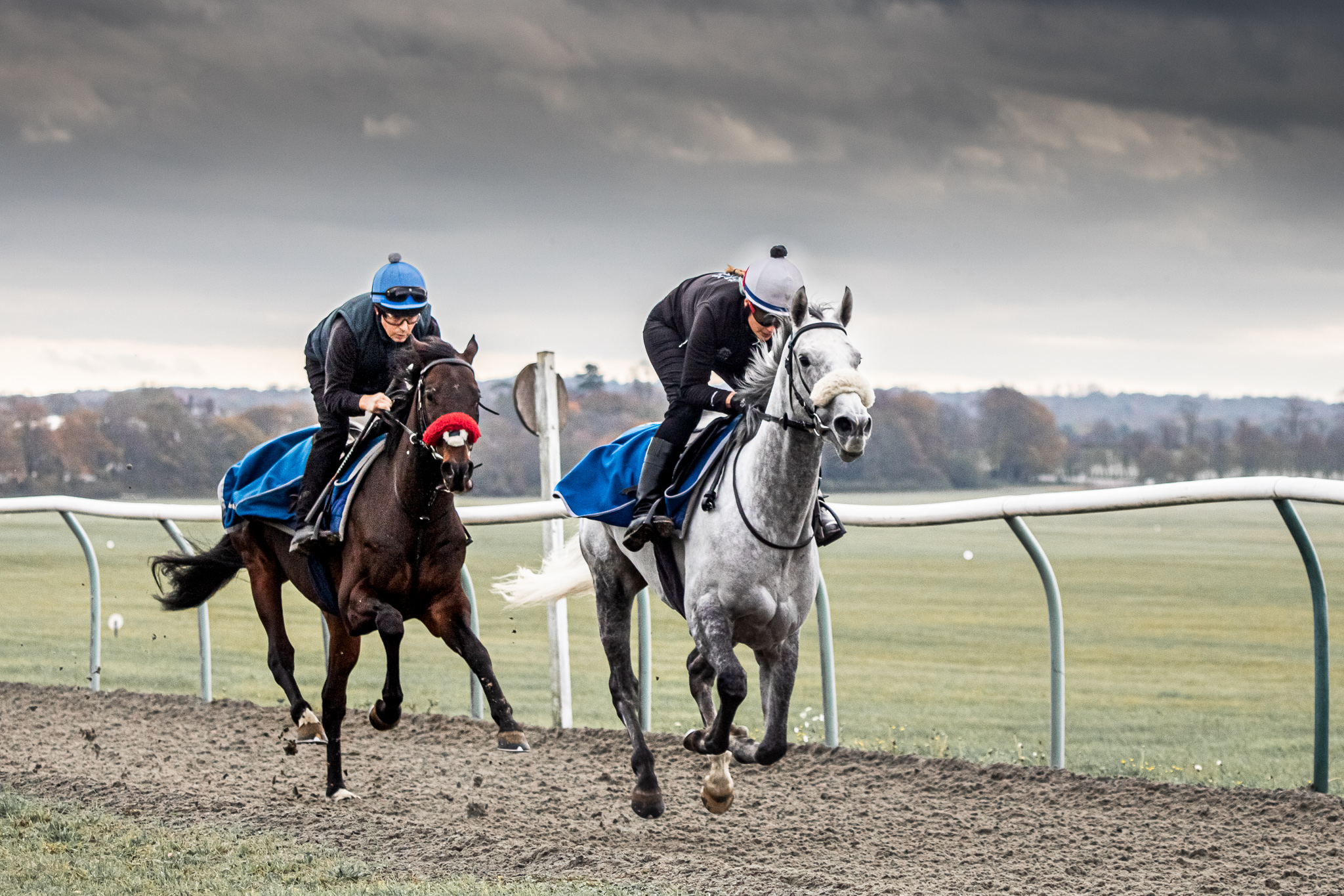 TJ Kent Horse Racing - Gallery