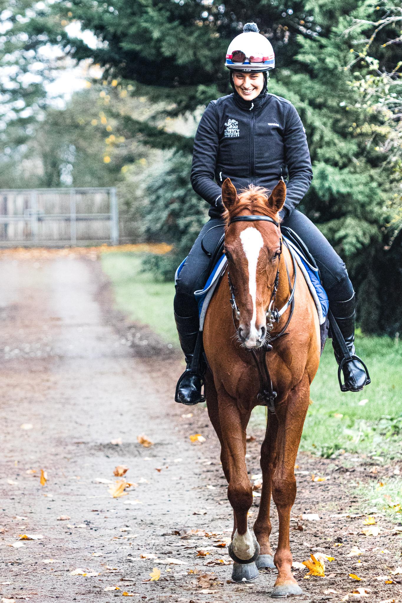 TJ Kent Horse Racing - Gallery