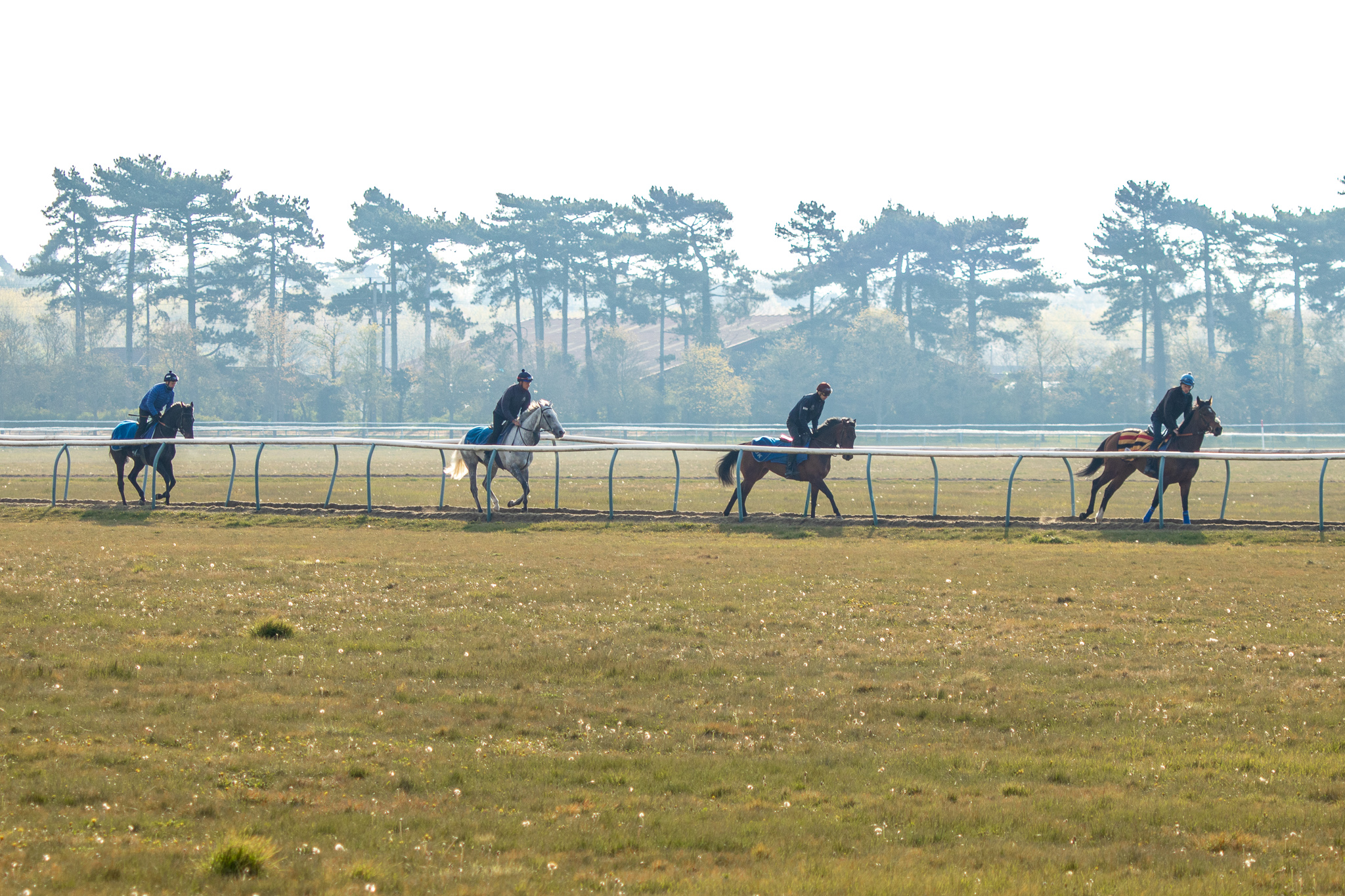 TJ Kent Horse Racing - Gallery