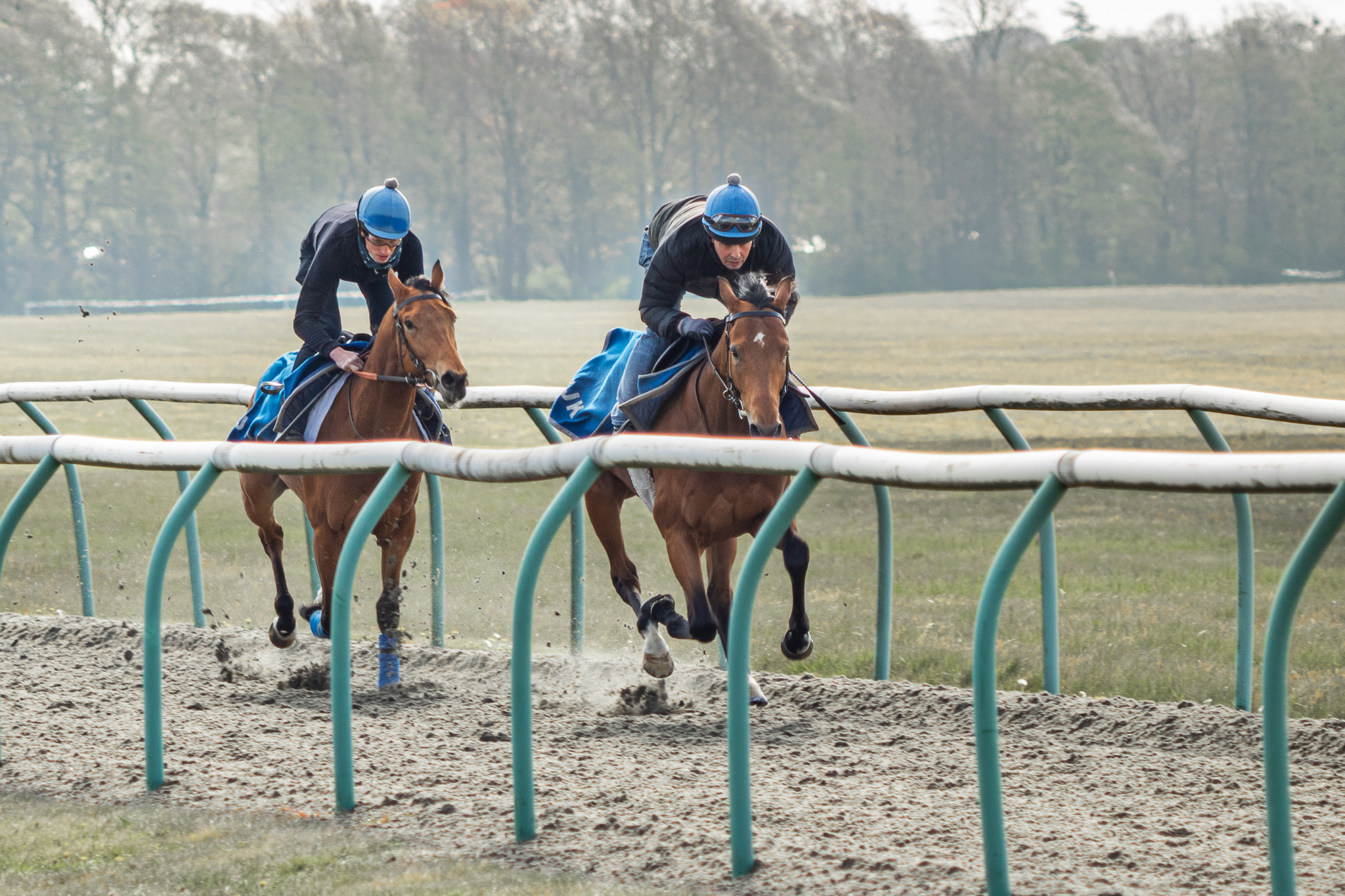 TJ Kent Horse Racing - Gallery