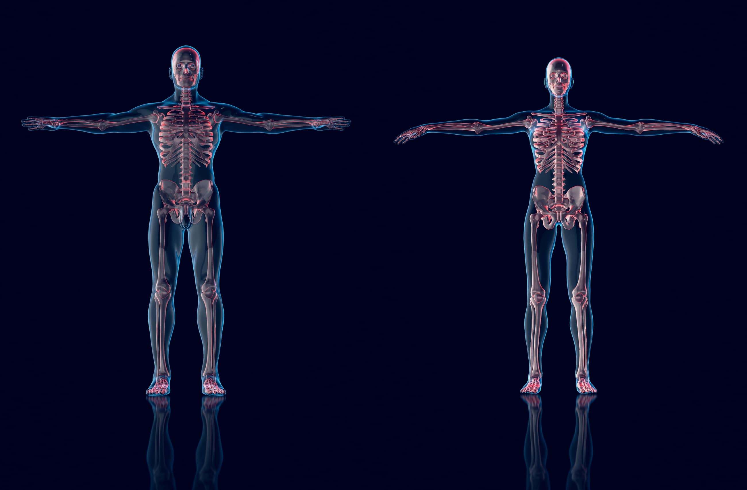SheebaTheNutritionist | NES (Nutri Energetic System)